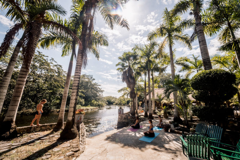 The Mayan Garden – The Mayan Garden website